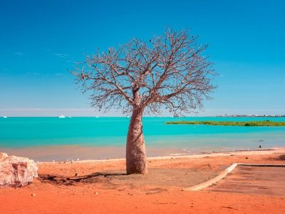 Things to do in Broome - Absolute Ocean Charters